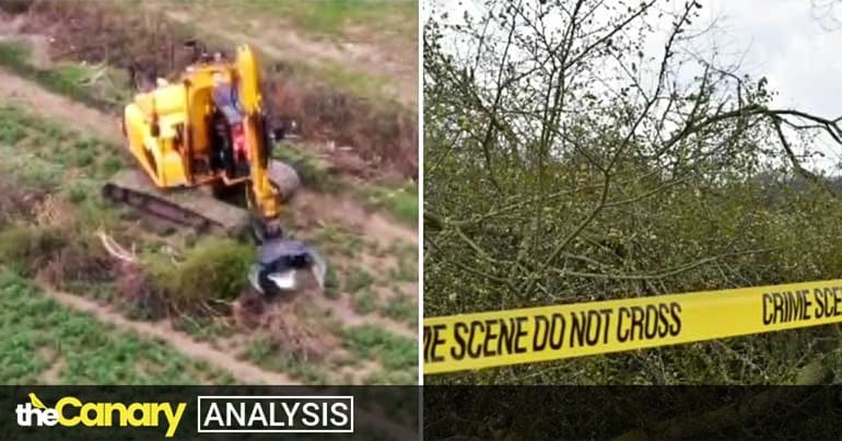 Campaigners stopped the 'Climate Changer' from destroying trees and ...