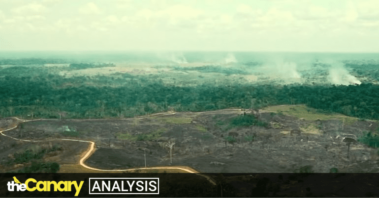 Indigenous peoples' historic plan to save the Amazon gets green light ...