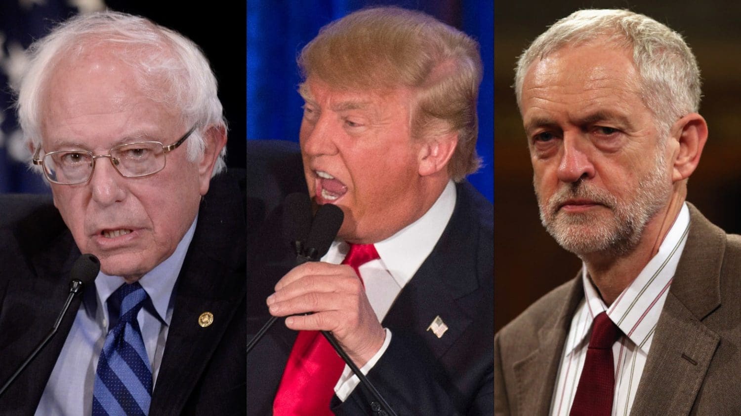 Four Key Considerations Before a Career in Politics
